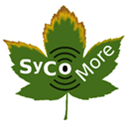 SyCoMore - Fibois - Centre-Val de Loire